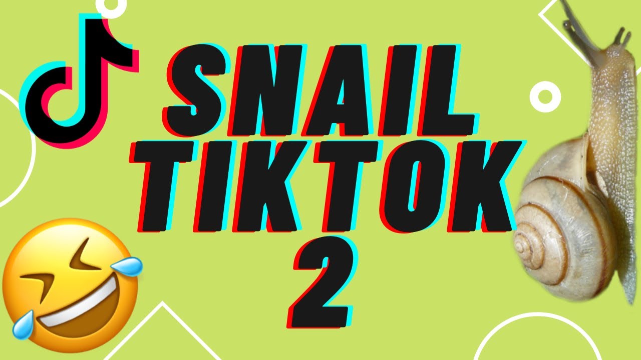 Funny TikTok Compilation: Snail Edition 2 - YouTube