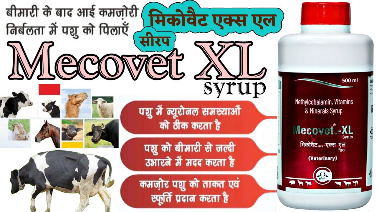 mecovet xl syrup || Mecovet XL Syrup uses in Hindi #methylcobalamin # ...