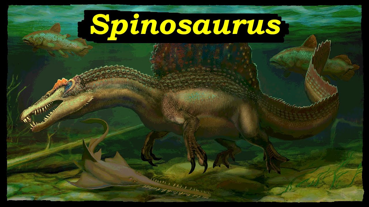 Spinosaurus: the River Monster of Ancient Africa - YouTube