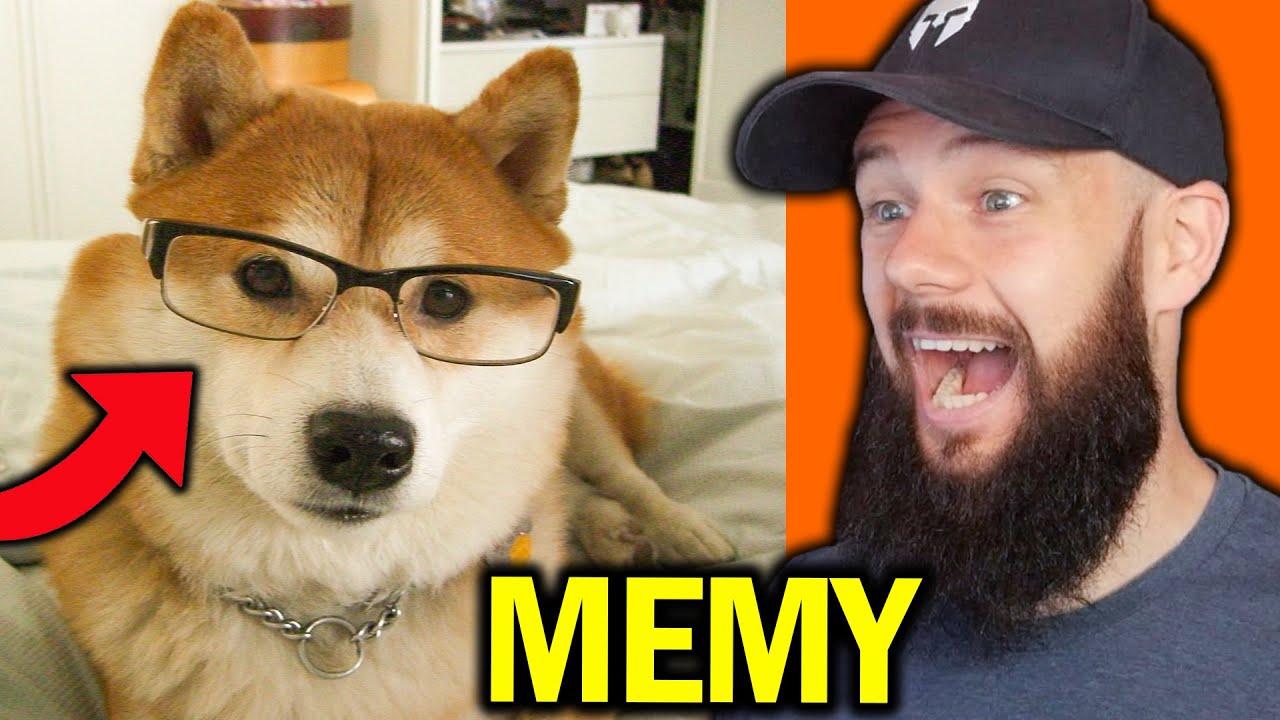 🔥 NAJLEPSZE MEMY Z PJESKU HEHESZKU 2 - YouTube