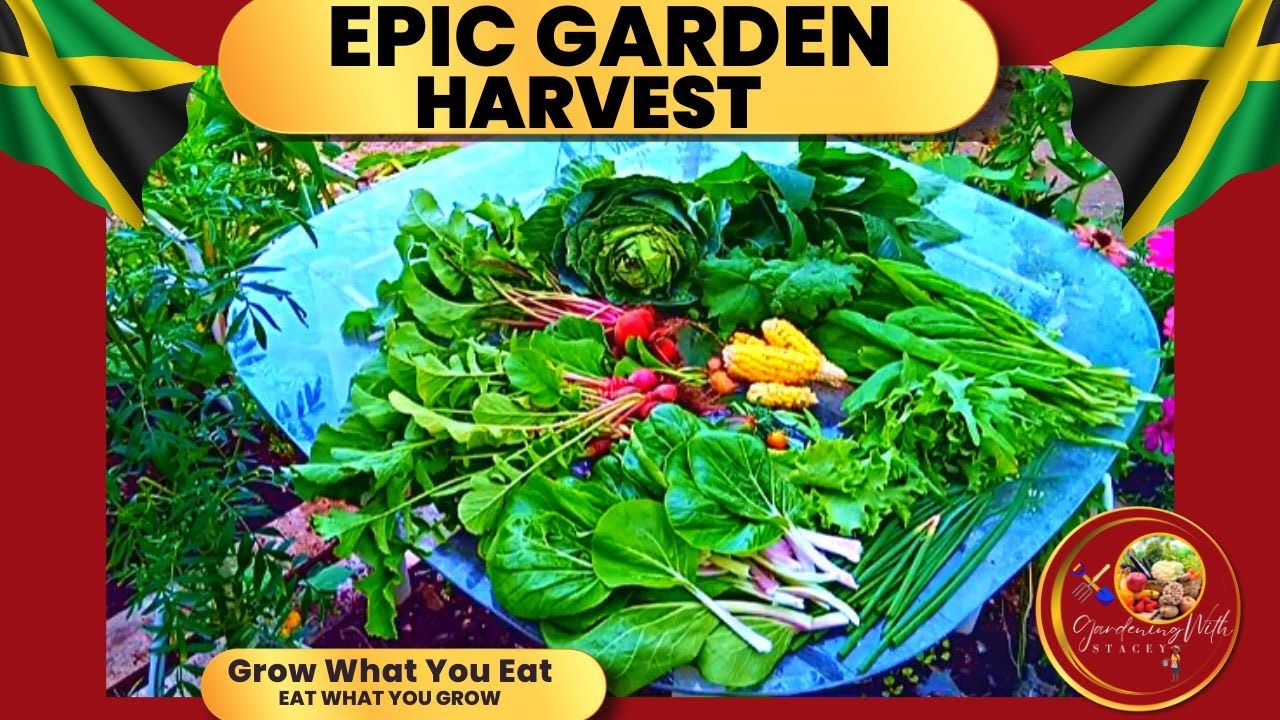 Epic Garden| Tropical Harvest - YouTube