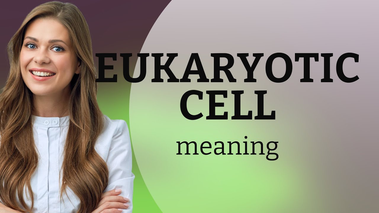Understanding the Eukaryotic Cell: A Guide for English Learners - YouTube