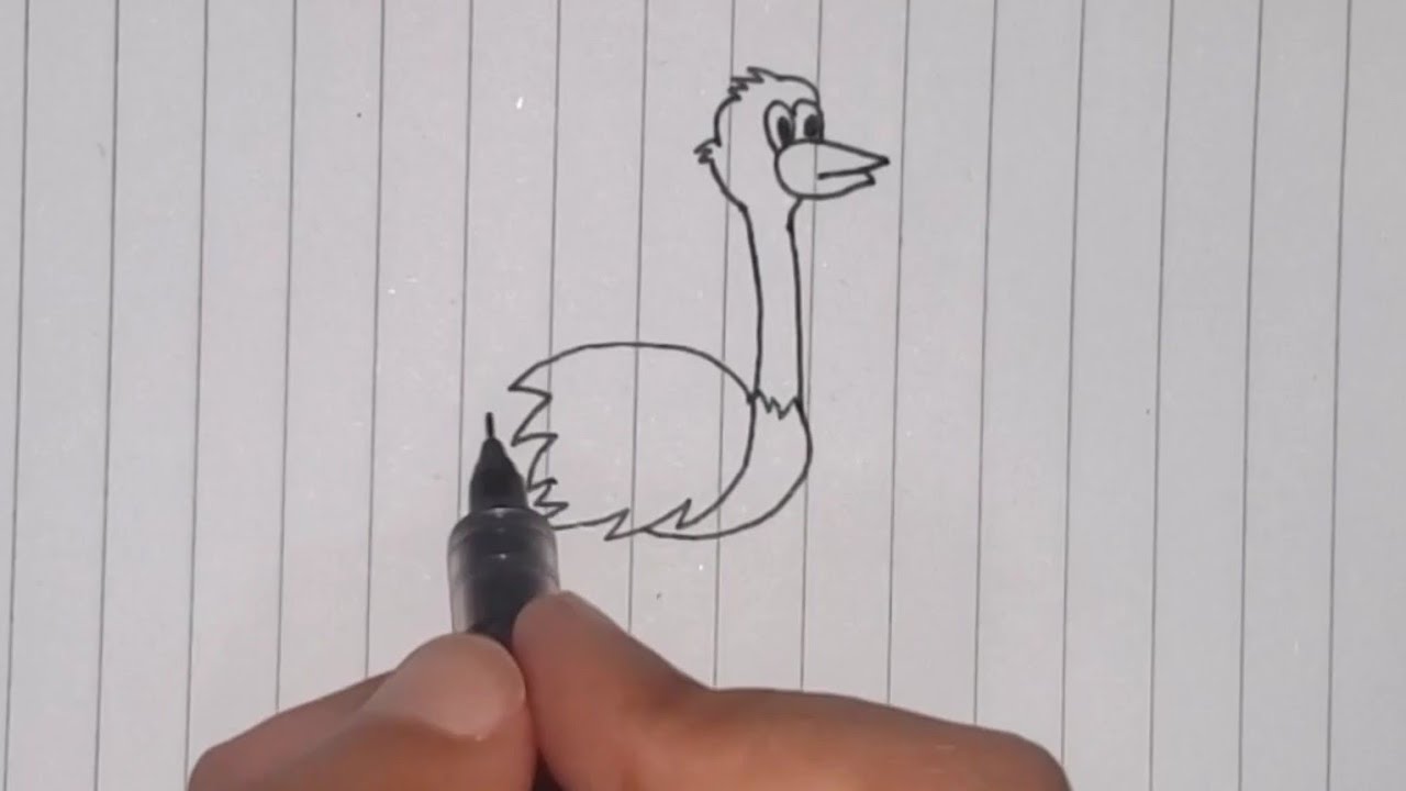 تعلم رسم نعامه بالخطوات / رسم سهل / رسم للمبتدئين / Drawing ostrich ...