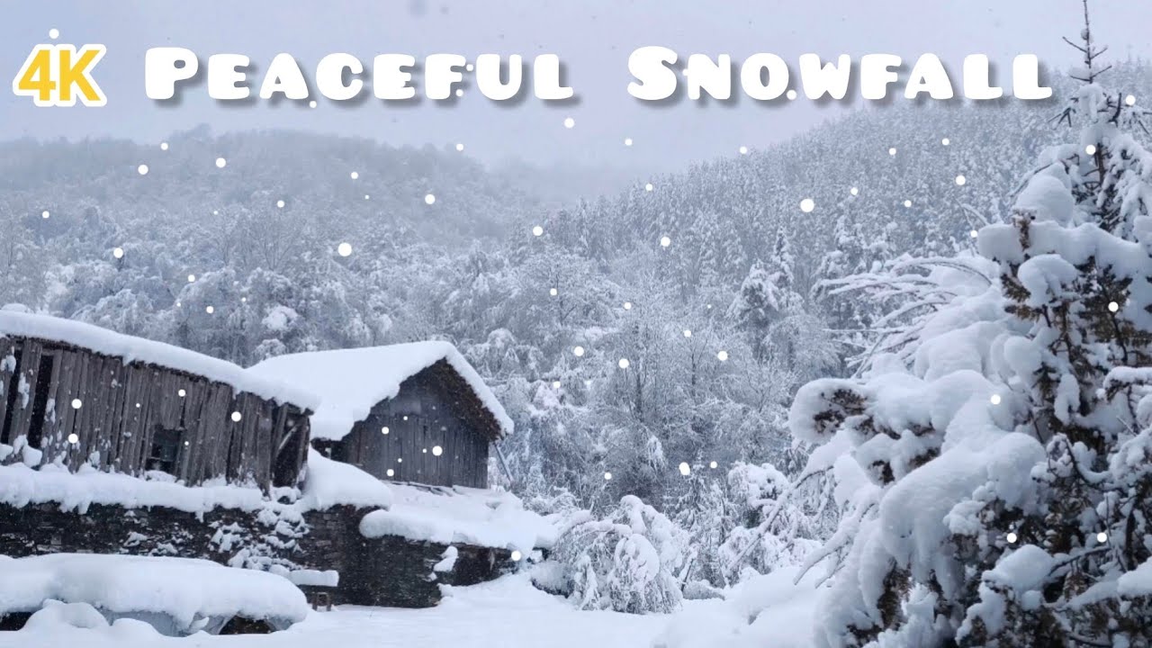 Peaceful Snowfall ️ in a Mountain Village | Cozy Wooden Cabin Ambience🤍 - YouTube