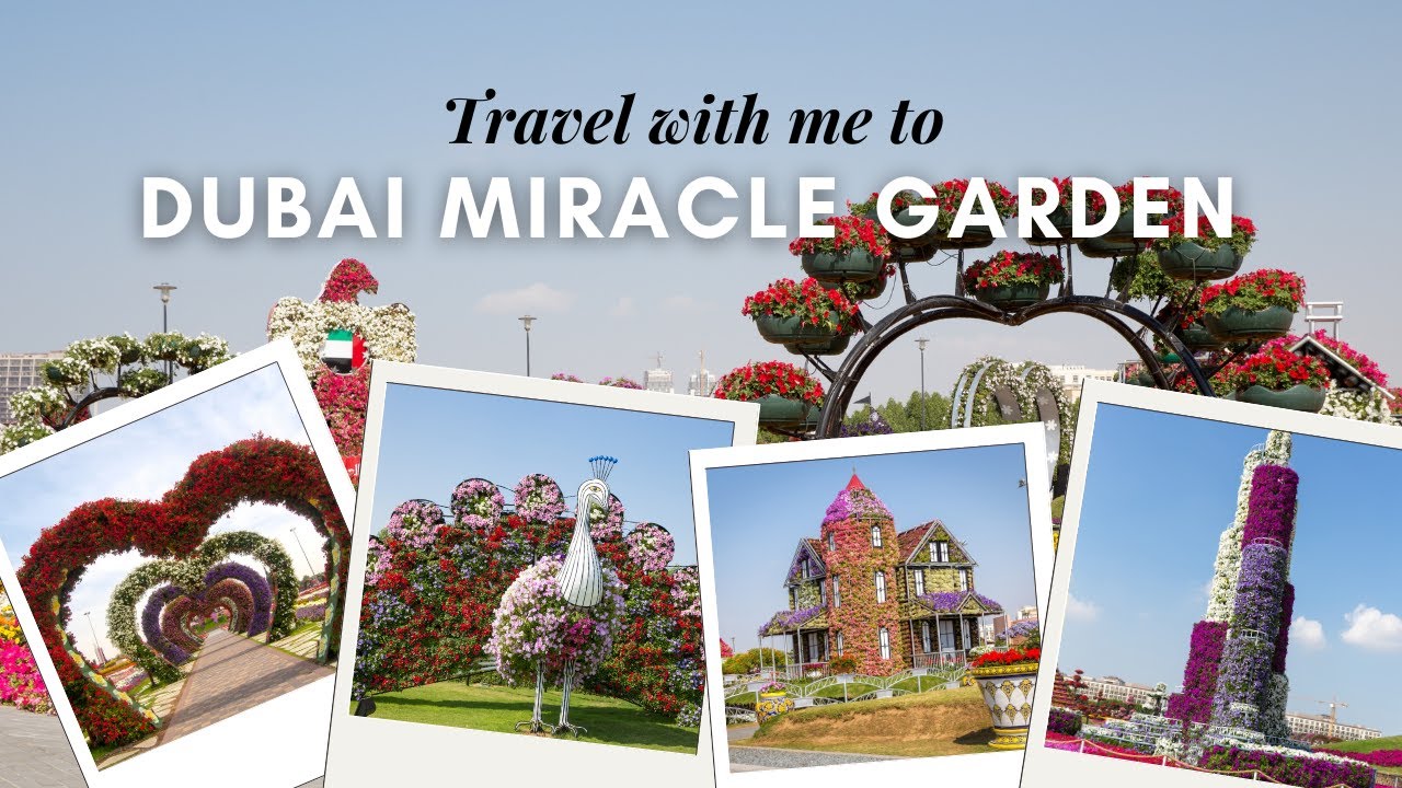 Discover the Magic: Dubai Miracle Garden 4K Virtual Tour | Dubai Travel ...
