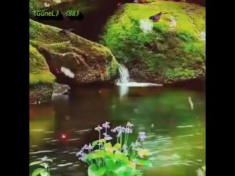 Whatsapp ucun Maraqli statuslar, qəmli video Sounds App 2022 Status ucun video,Menali video