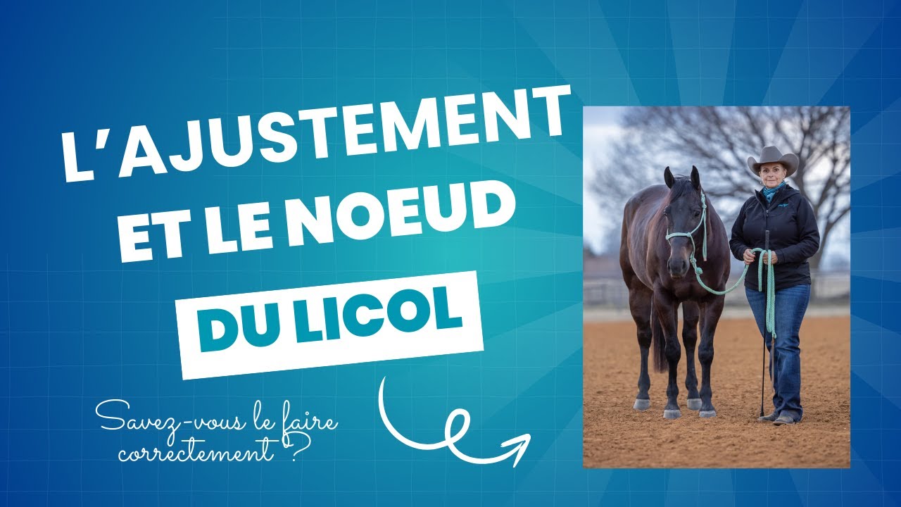 La Position PARFAITE du Licol Pour le Confort de Votre Cheval ! - YouTube