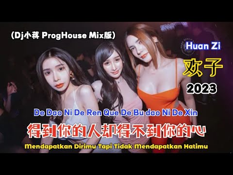 欢子 - 得到你的人却得不到你的心 (Dj小蒋 ProgHouse Mix 版2023) De Dao Ni De Ren Que De Bu dao Ni De Xin ...