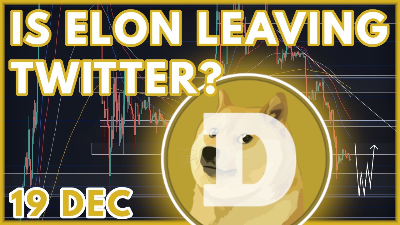 doge-price-prediction-today-dogecoin-doge-price-prediction-news