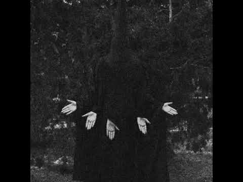 Metamorphosis