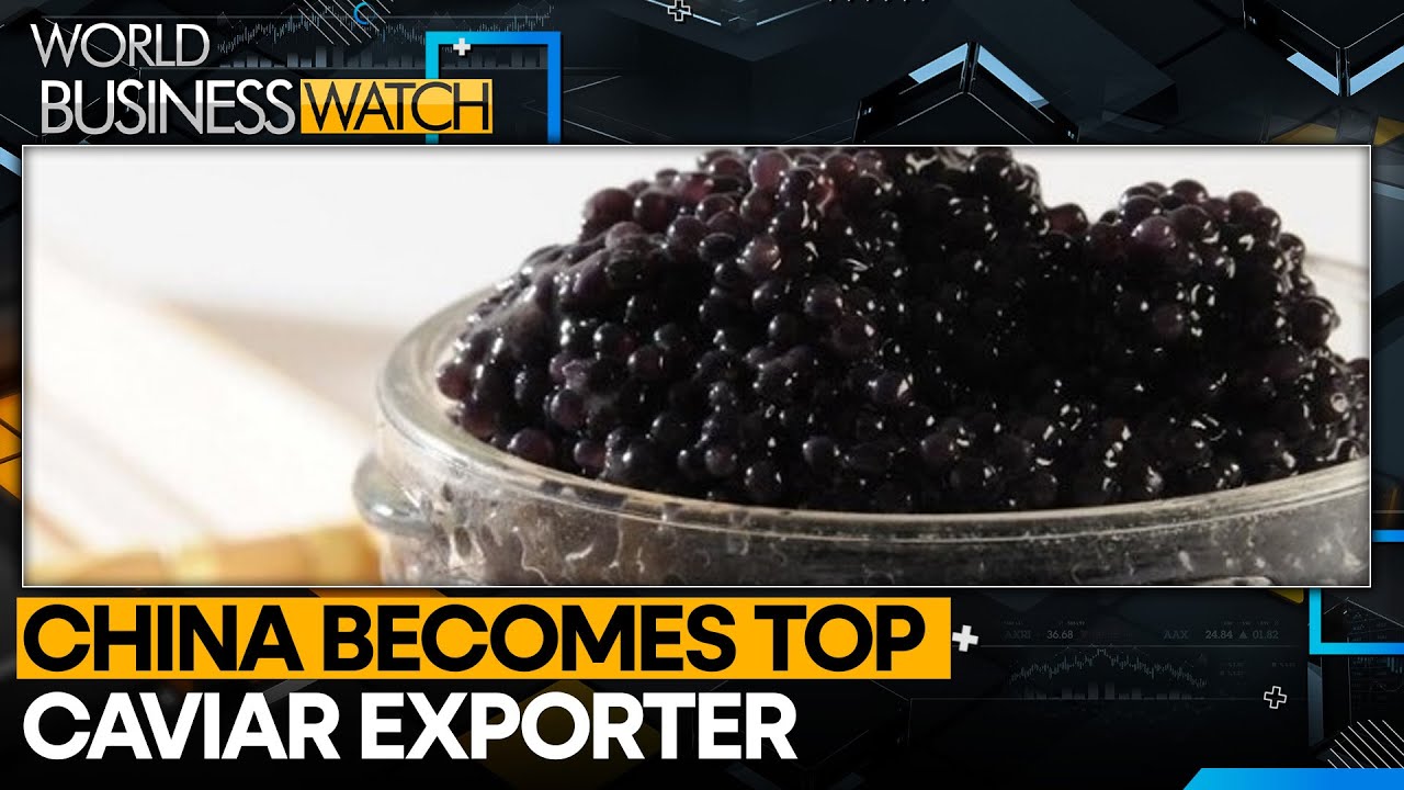 China takes the crown as world's leading caviar exporter | World ...
