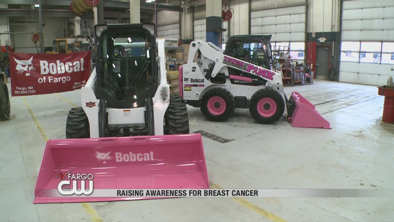 News: Pink Bobcat - YouTube
