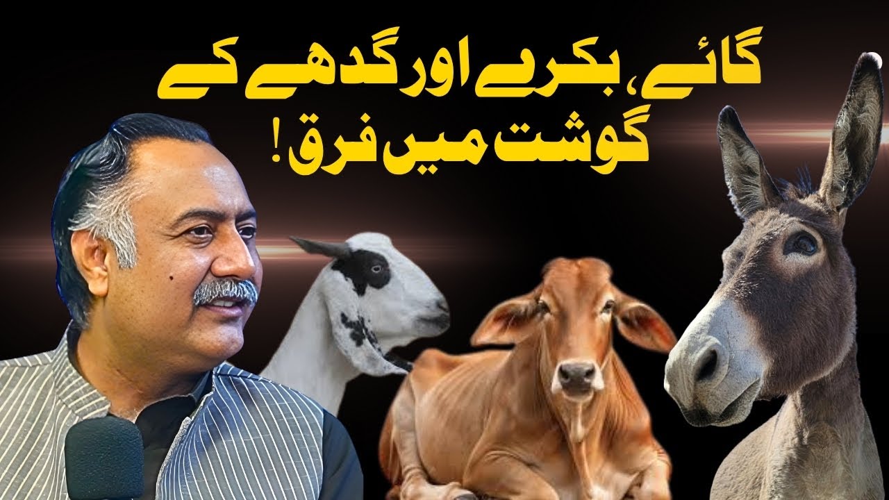 Mutton, Beef or (Gadha)? Food Expert Mohsin Bhatti Exposes the Meat ...