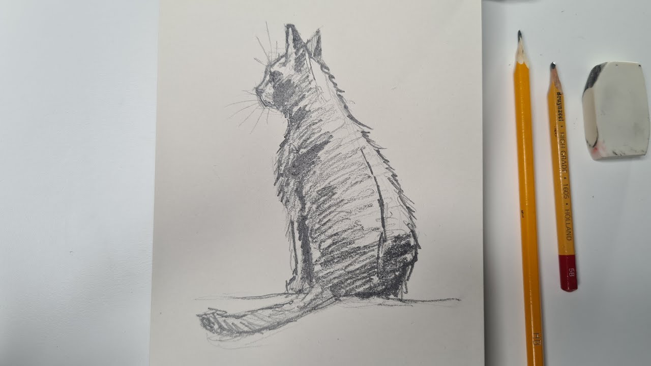 Loose Sketch of a Cat | How to draw a rough cat sketch - YouTube