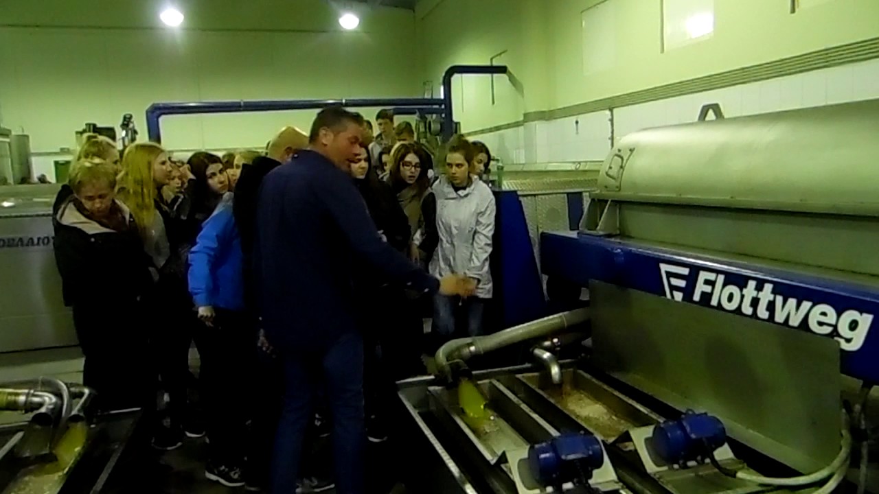 Ελαιοτριβειο τυποποιητήριο "Αστεριος Γκριμουρας" Σκοτινα Πιεριας - YouTube