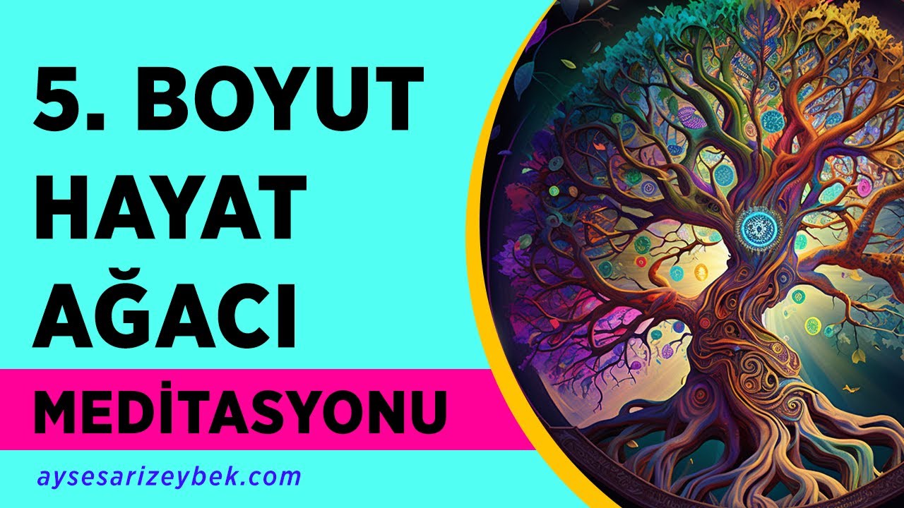 5. BOYUT VE HAYAT AĞACI MEDİTASYONU ÖZEL ÇALIŞMA - YouTube