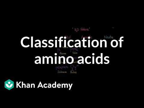 Classification of amino acids | Chemical processes | MCAT | Khan Academy