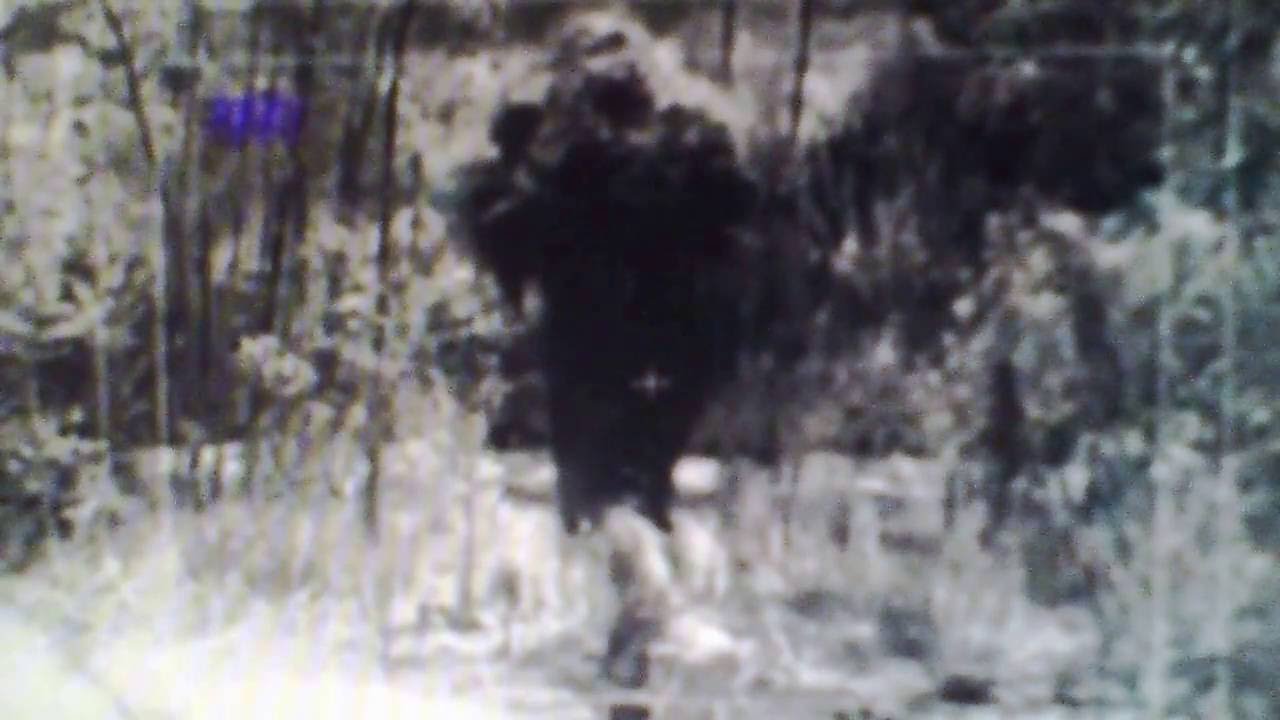 MAN TAKES PHOTO OUT HIS BACK DOOR OF BIGFOOT - YouTube
