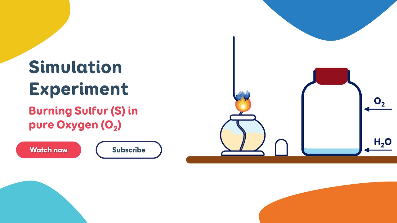 [Simulation Experiments] 🔥🔥 Burning Sulfur powder in pure Oxygen gas 🔥🔥 ...