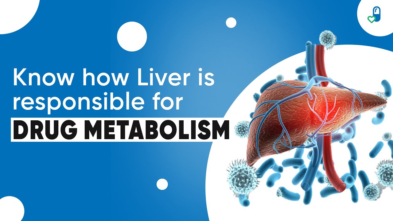 How does your Liver help with the medicines you take? - YouTube