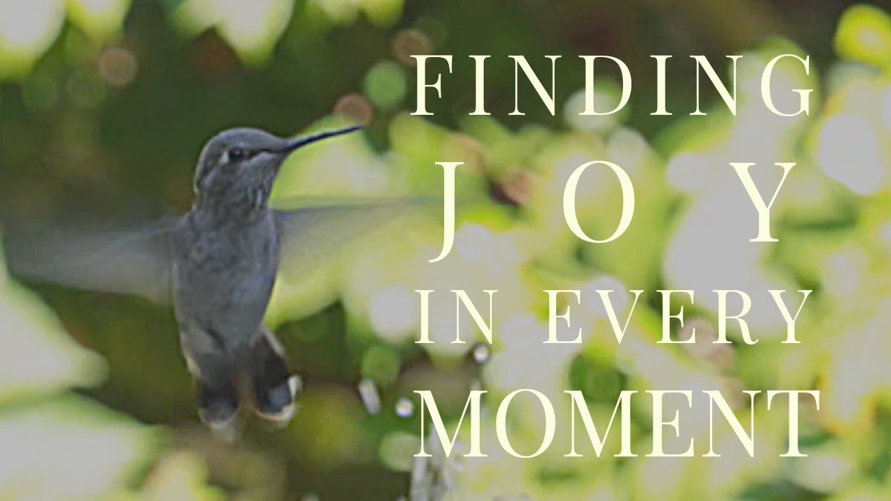 Finding Joy in Every Moment - YouTube