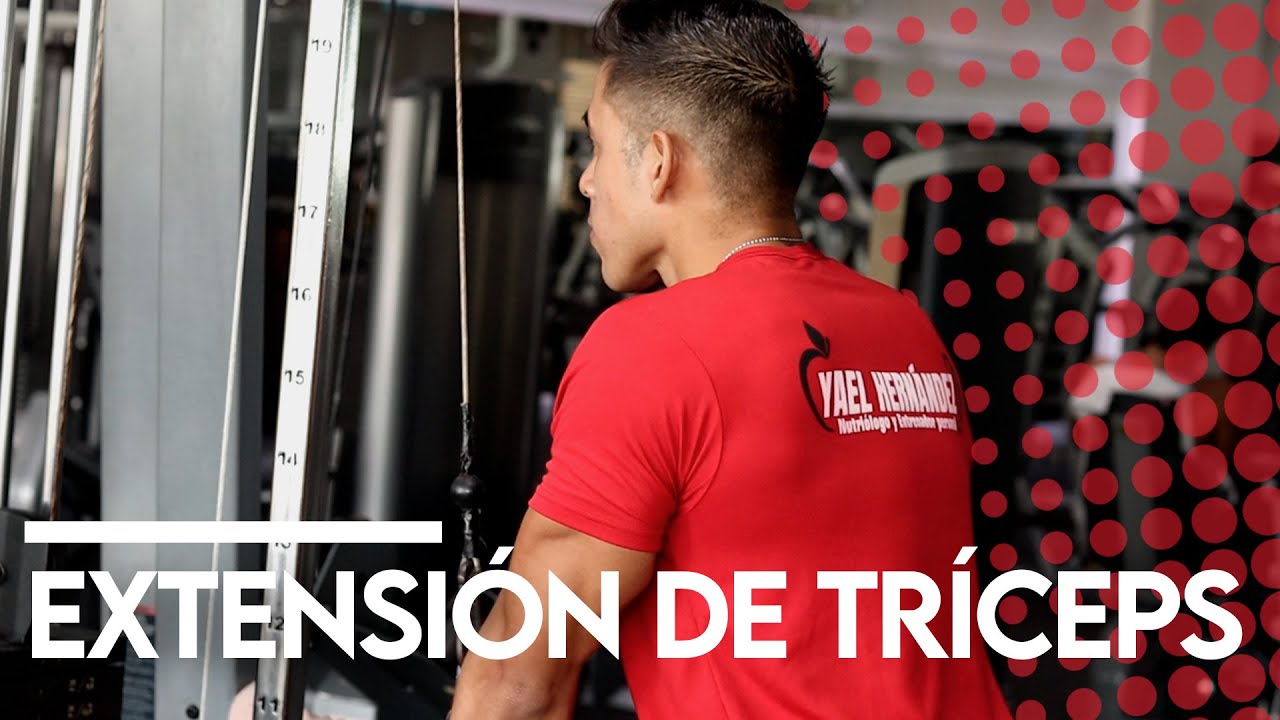 Como realizar EXTENSIÓN DE TRÍCEPS con cuerda en MENOS DE 30 SEGUNDOS ...