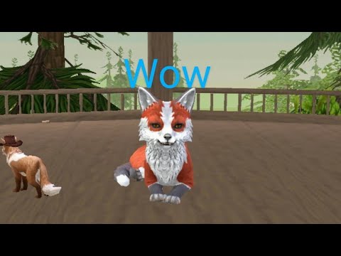 secrets and glitches in Wildcraft 4 - YouTube