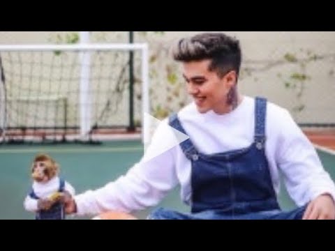 Sosyal medya fenomeni Meriç maymununu  vermemek için böyle direndi