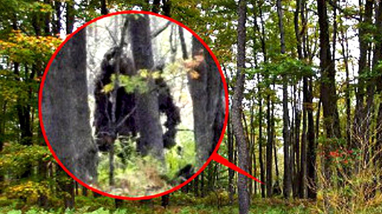 RARE CAVEMAN SIGHTING CAUGHT ON TAPE 02/06/16 - YouTube