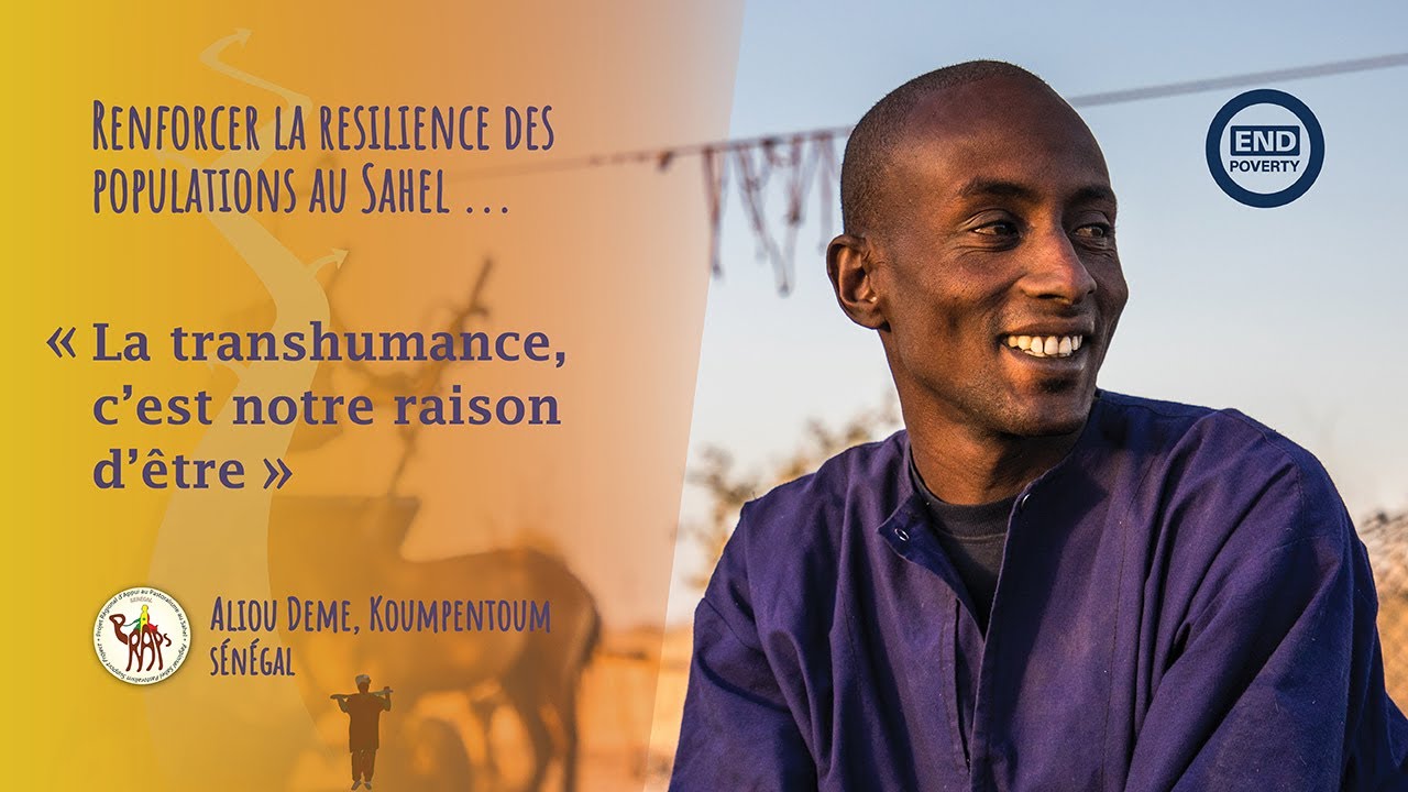 Transhumance : la raison d’être de millions d’éleveurs au Sahel - YouTube