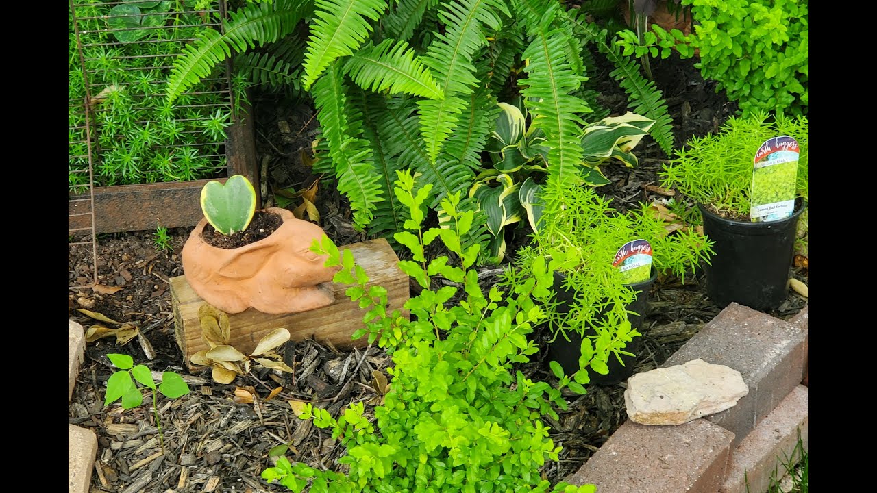 Garden With Me | Spring Garden Chores And Garden Containers - YouTube