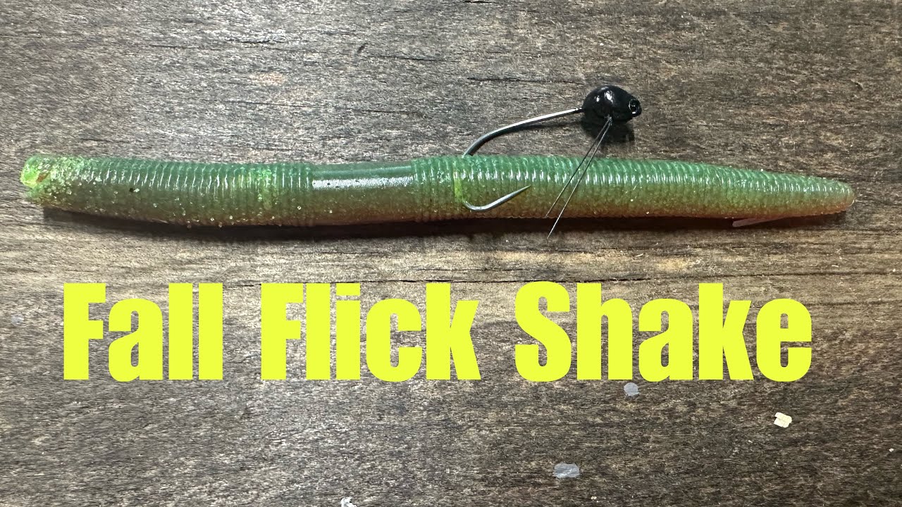 New Members Vid!…Fall Flick Shake Techniques - YouTube