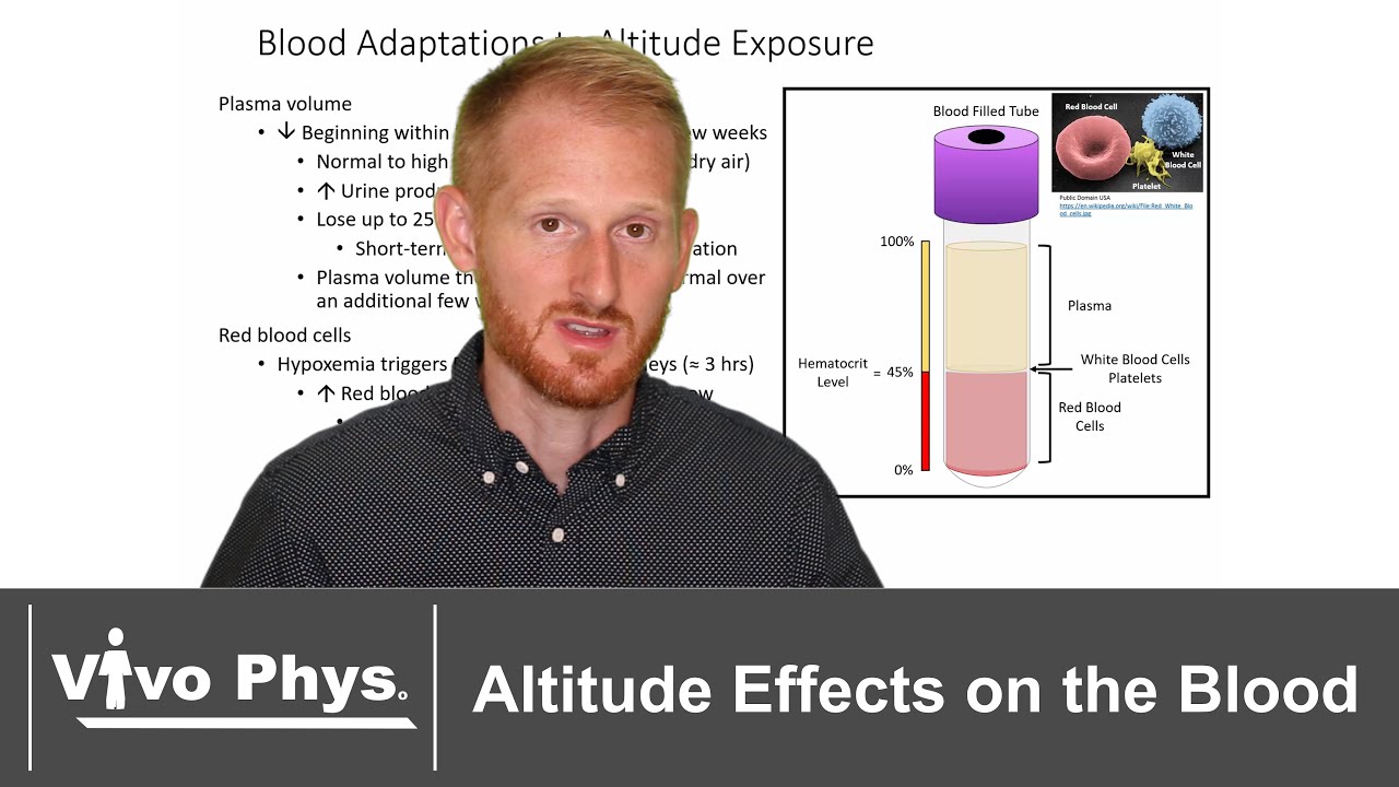 Altitude Effects on the Blood - YouTube