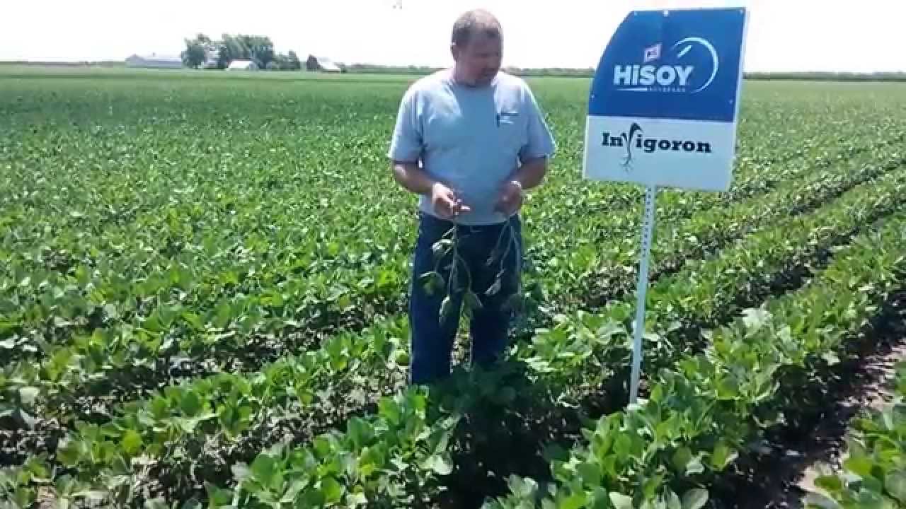 TriCounty FS Bret InVigoron Soy on Beans - YouTube