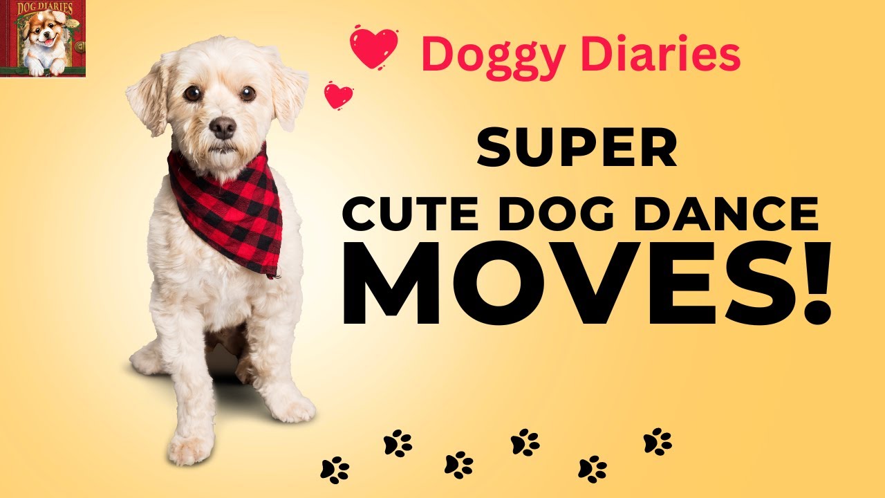 Super Cute Dog Dance Moves! #DogDancing#CuteDogs#PetDance#FunnyDogs# ...