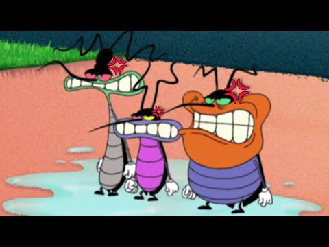 हिंदी Oggy and the Cockroaches 😡 क्रोधित तिलचट्टे Hindi Cartoons for Kids