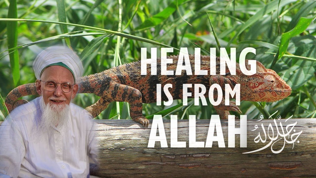 Healing is from Allah ﷻ - YouTube