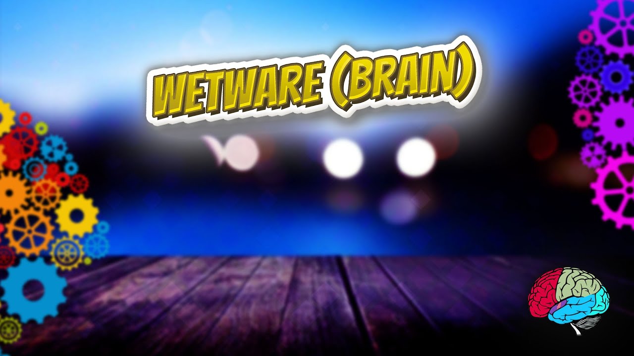 Wetware brain - Know It ALL 🔊 - YouTube