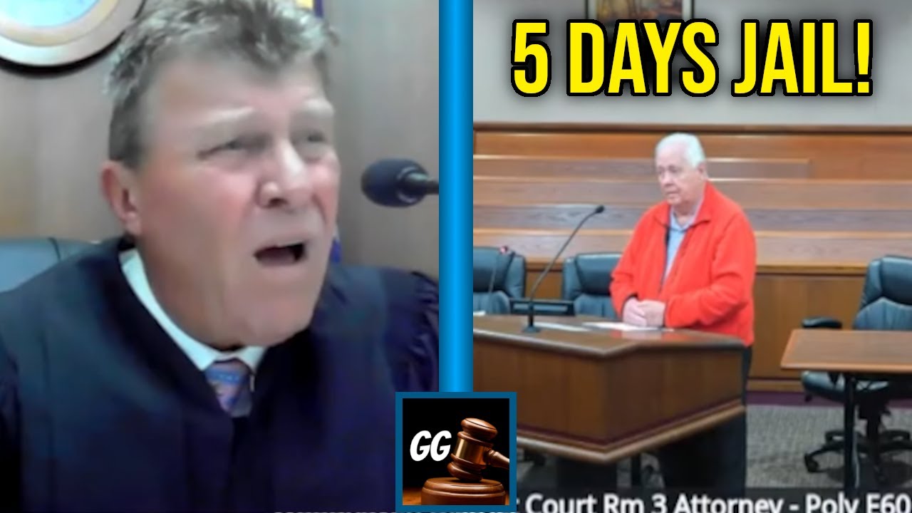 Michigan Election Official JAILED In Blight Case in Judge McNally's ...