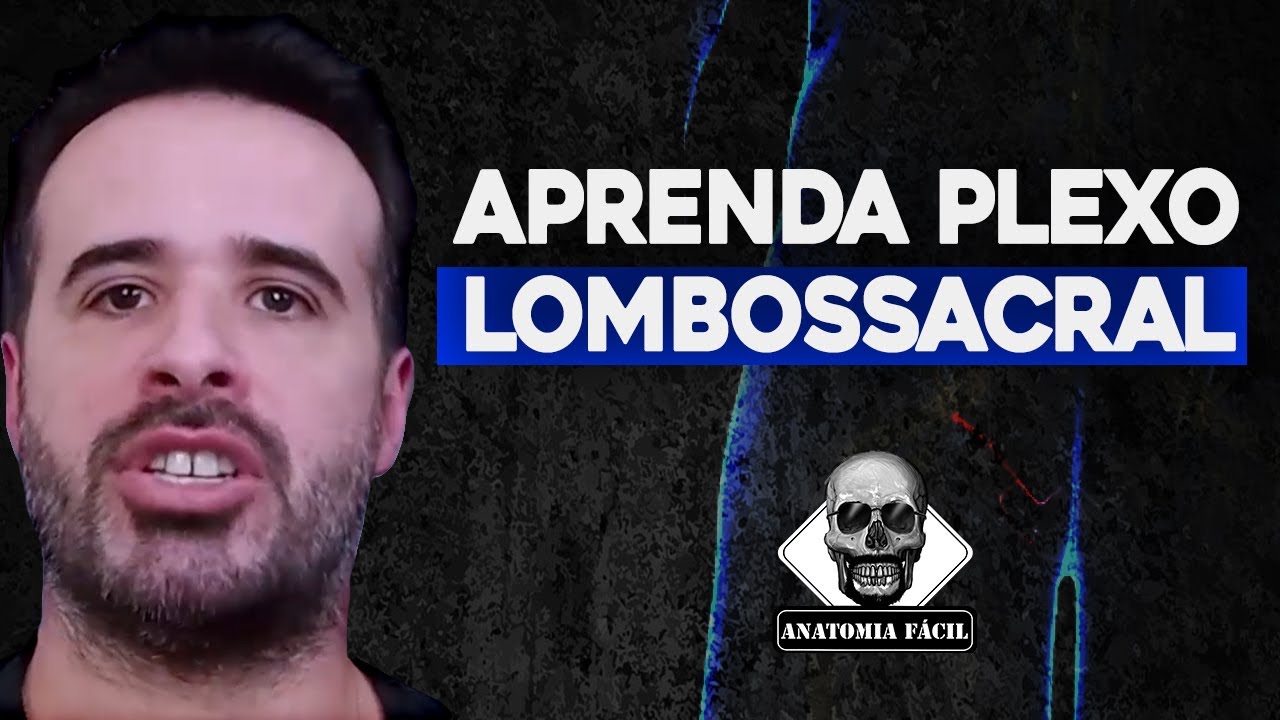 APRENDA PLEXO LOMBOSSACRAL DEFINITIVAMENTE - YouTube