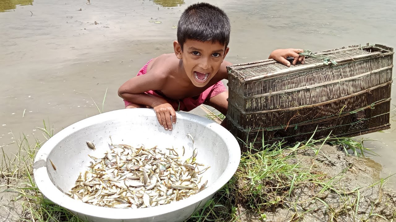 Little Boy Catching Lots Of Small Fish / Fishing In Village - YouTube