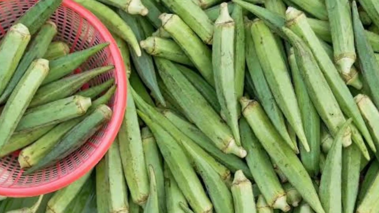 Miracle Vegetables - YouTube