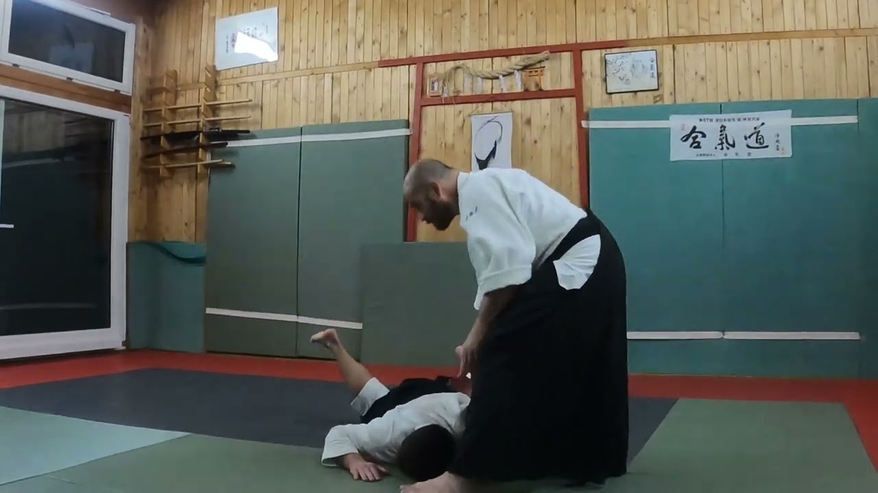 [AIKIDO] Quand les frappes se transforment en saisies : exemple avec ...