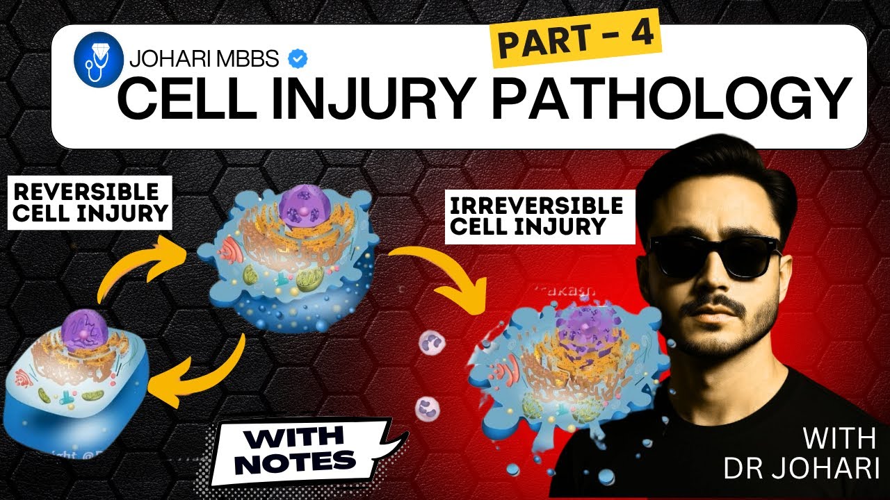 cell injury pathology | reversible cellular injury pathology ...
