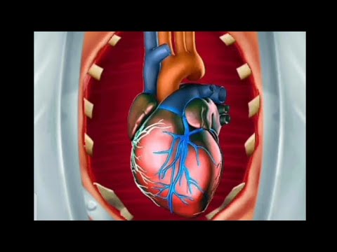 heart surgery all steps animated video games 👩‍⚕️👩‍⚕️👩‍⚕️ - YouTube