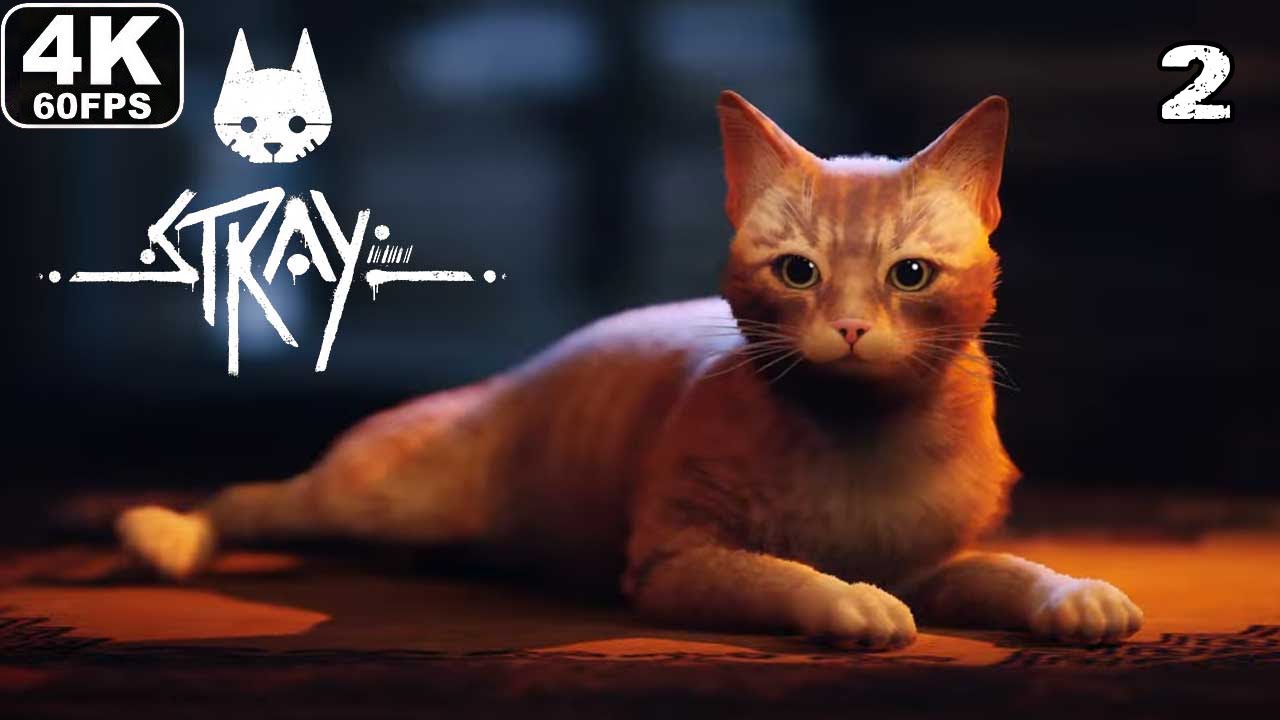 STRAY Gameplay Walkthrough Part 2 [4K 60FPS] - No Commentary - YouTube