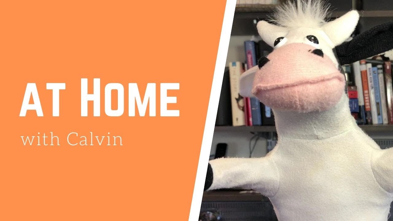 at home with Calvin - YouTube