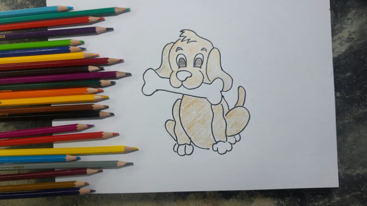 cara menggambar dan mewarnai anjing | how to draw and color a dog ...