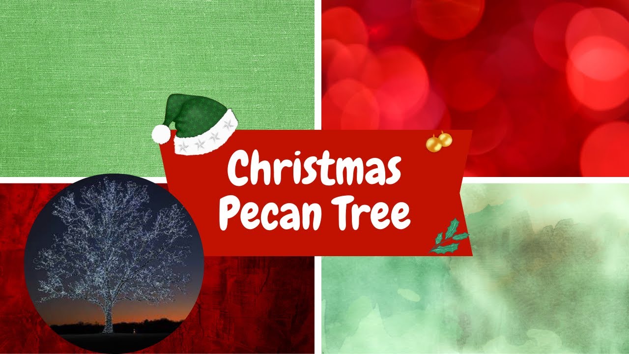 The Christmas Pecan Tree of Texas - YouTube