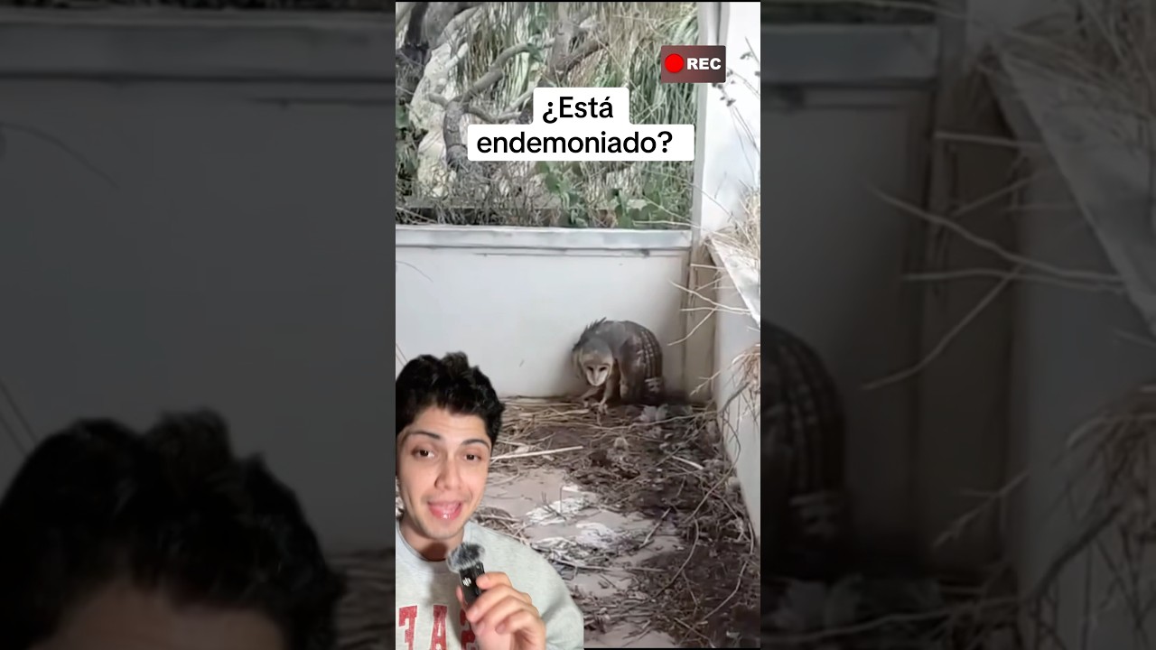 ¿Está endemoniado? - YouTube